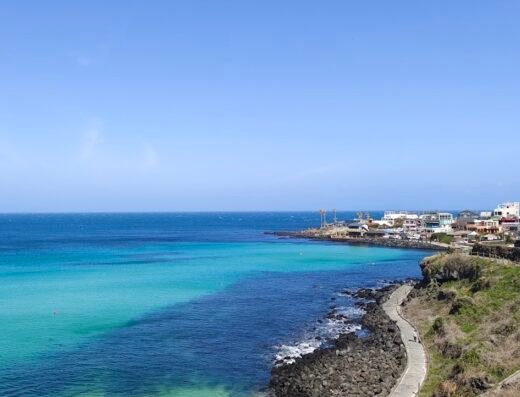 9.81 Park Jeju – Full Time Digital Nomads